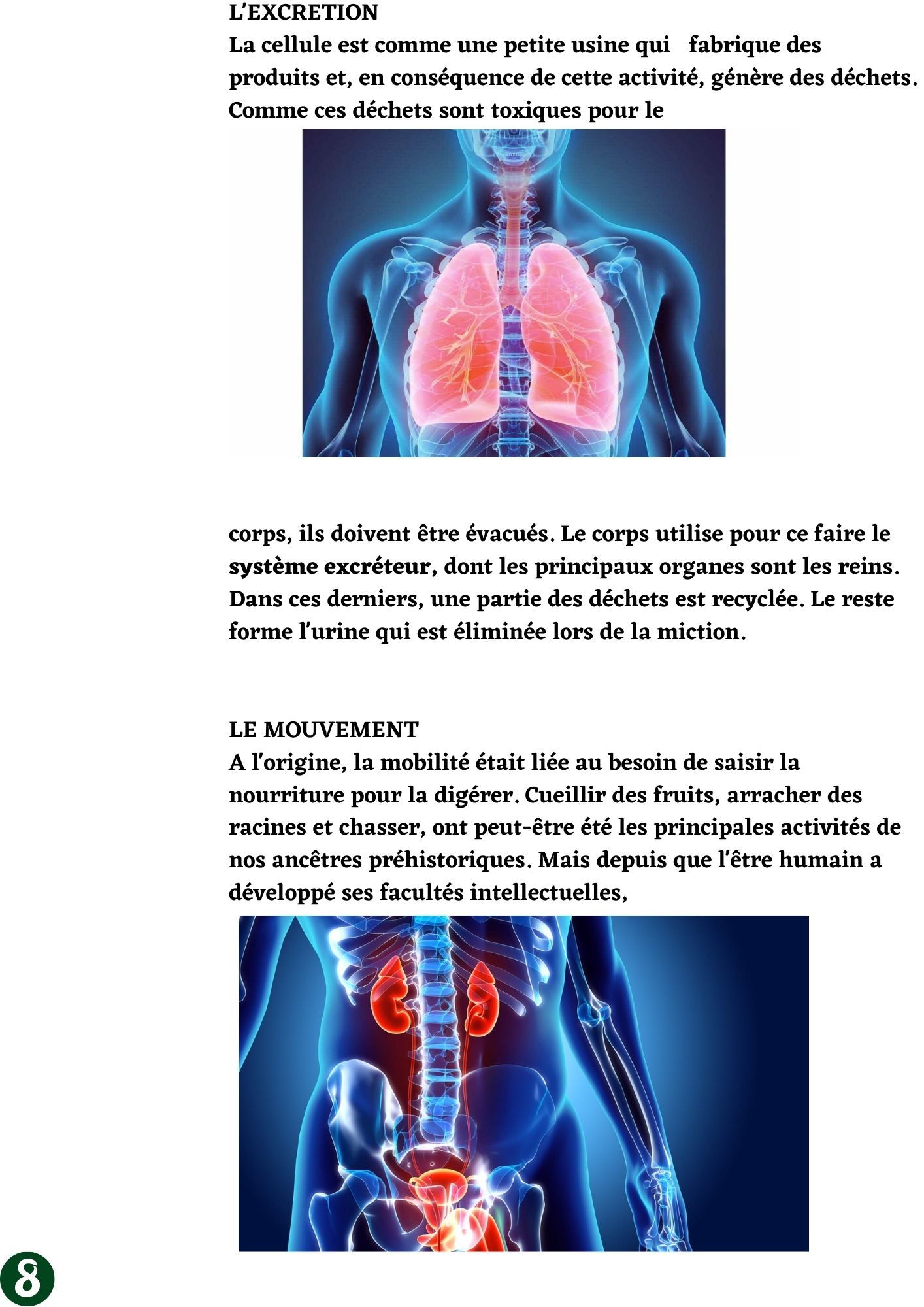le corps humain - Page 2